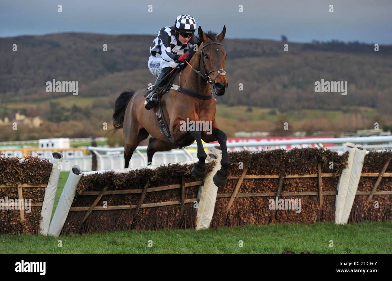 Rennen am Cheltenham Tag 2 des Christmas Meet Race 6 die Albert ...