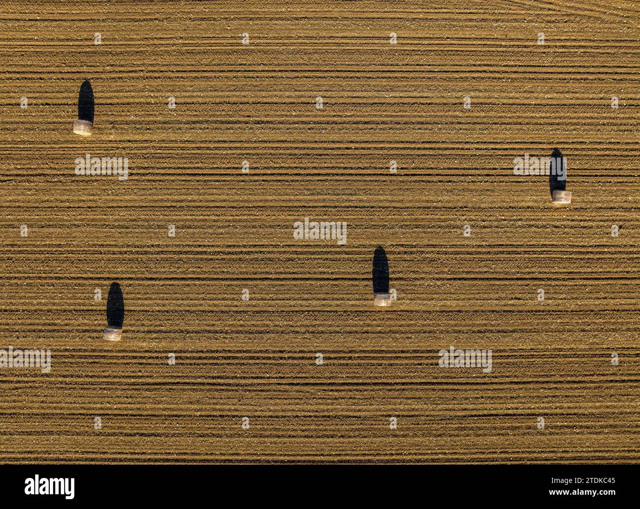 Bala de palla -Fotos und -Bildmaterial in hoher Auflösung – Alamy