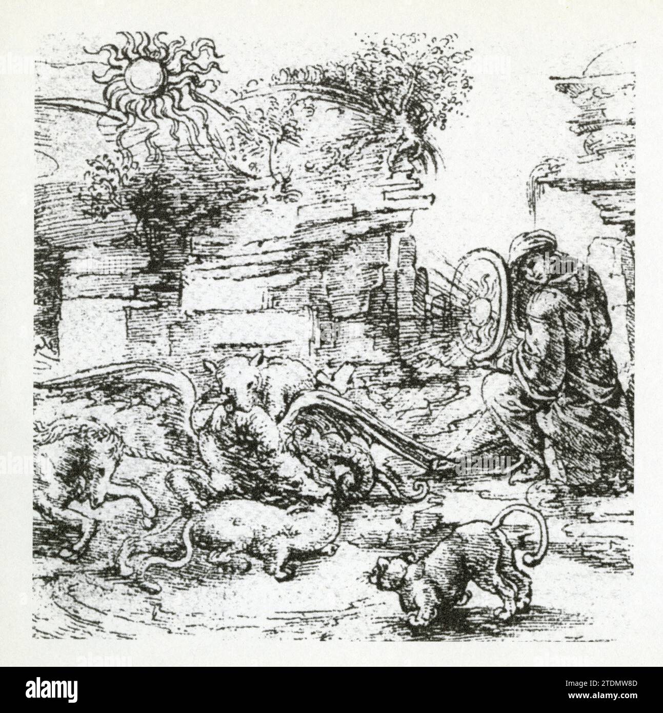 Bleistift und tuschezeichnung -Fotos und -Bildmaterial in hoher ...