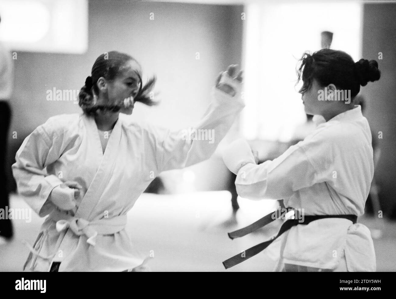 Nk karate -Fotos und -Bildmaterial in hoher Auflösung – Alamy