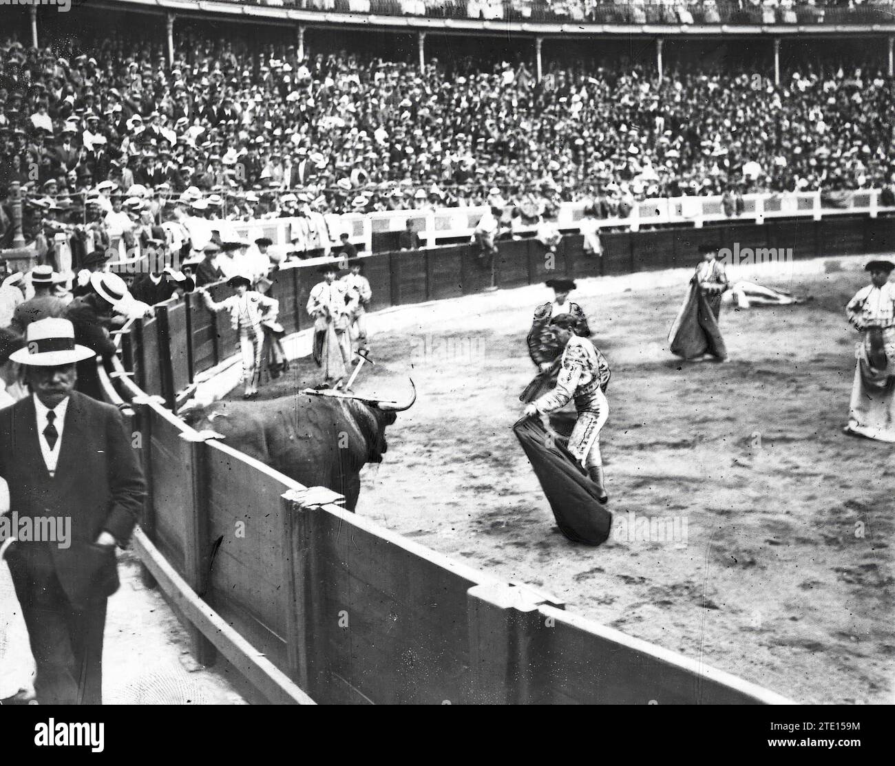 Ranch miura -Fotos und -Bildmaterial in hoher Auflösung – Alamy