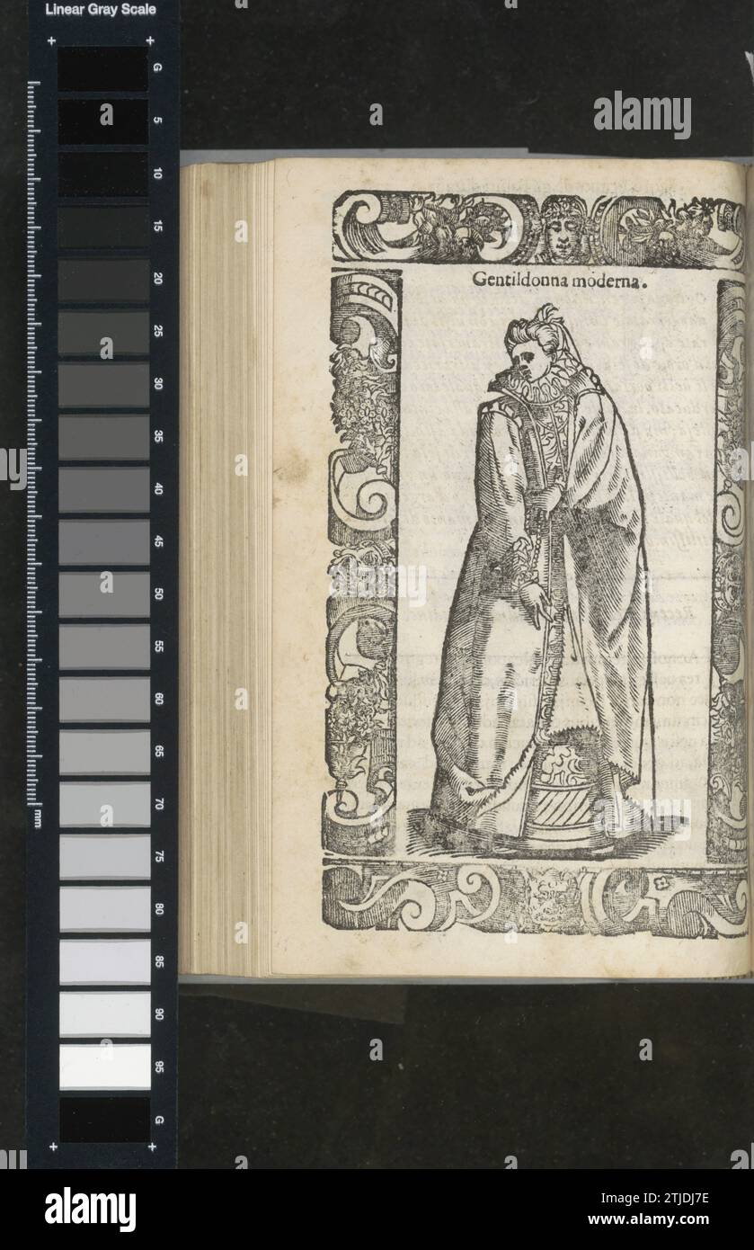 Edle Dame in zeitgenössischer (moderner) Kleidung des Königreichs ...