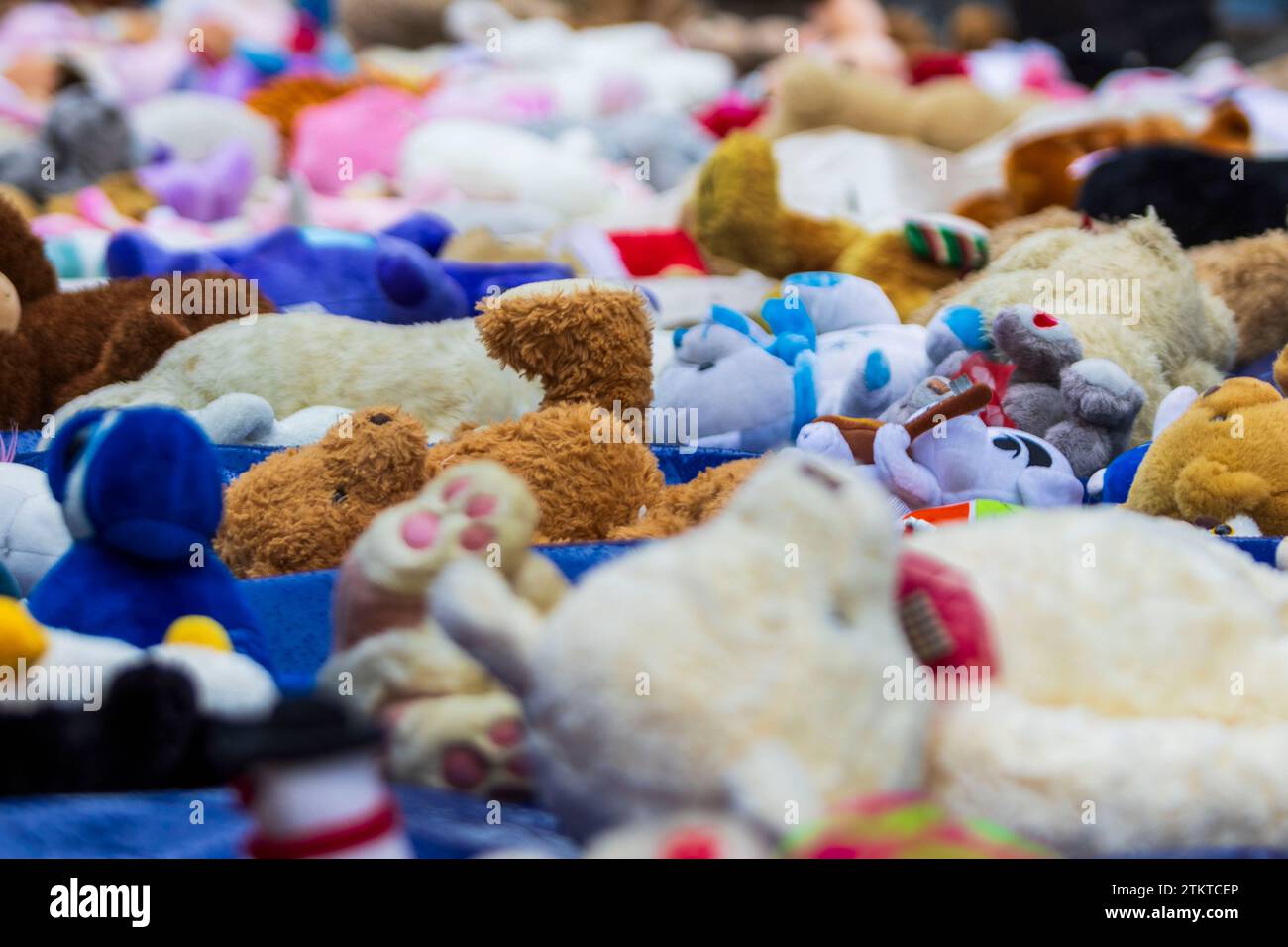 500 Teddies werden in Truro platziert, um den Tod von 8.000 Kindern aus ...
