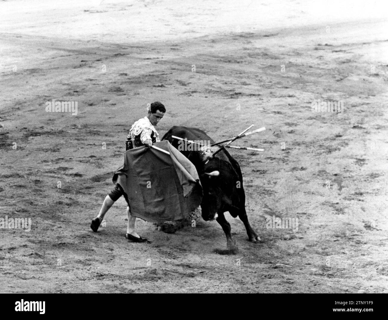 05/25/1965. Santiago Martín „el Viti“ triumphiert im elften Stierkampf ...