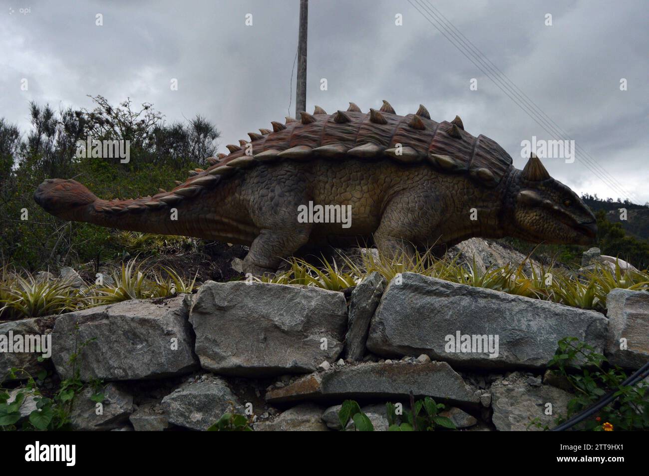 PAUTE-PARQUE JURASICO Cuenca,Ecuador 20 de diciembre de 2023 Paute ...
