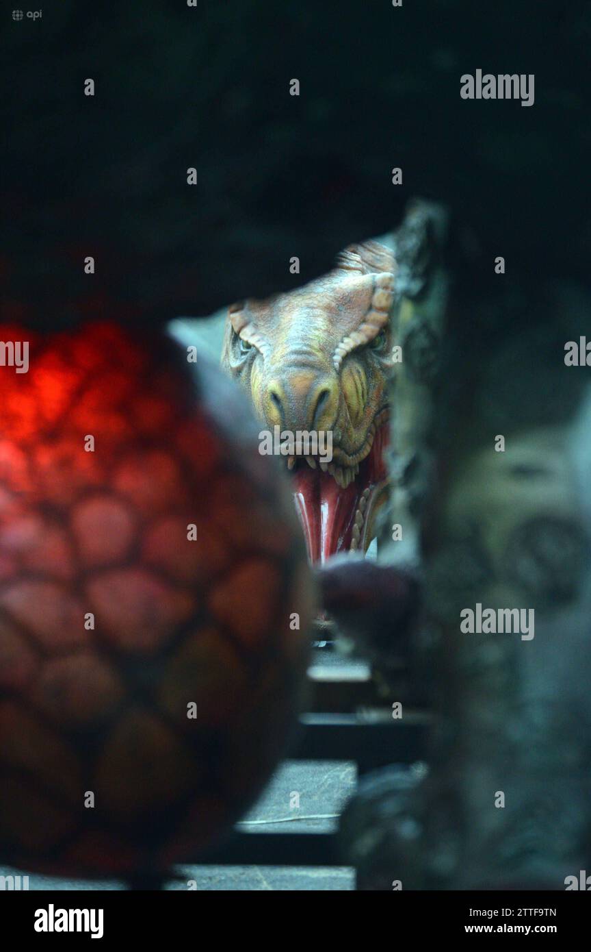 PAUTE-PARQUE JURASICO Cuenca,Ecuador 20 de diciembre de 2023 Paute ...