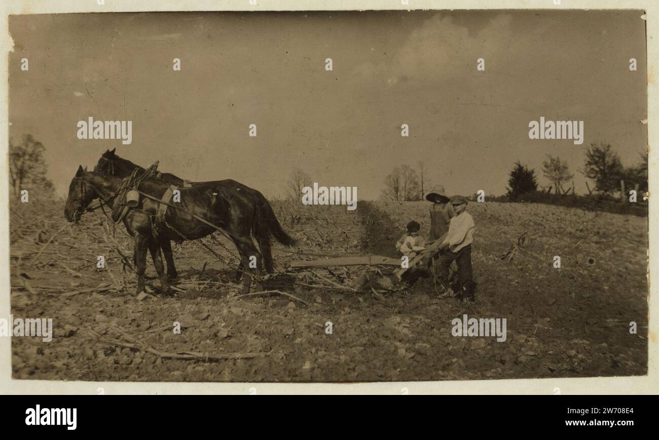 Willie Nall, 11 Jahre alt; Raymond Jones, 10 Jahre alt; Denver Jones, 5 ...