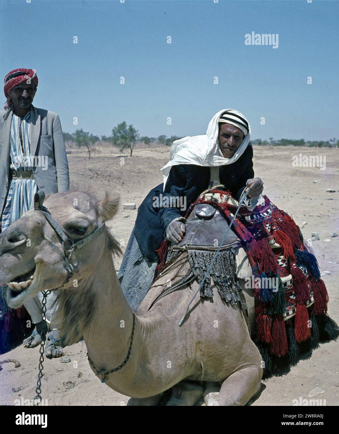 Beduinen der 1960er jahre -Fotos und -Bildmaterial in hoher Auflösung – Alamy