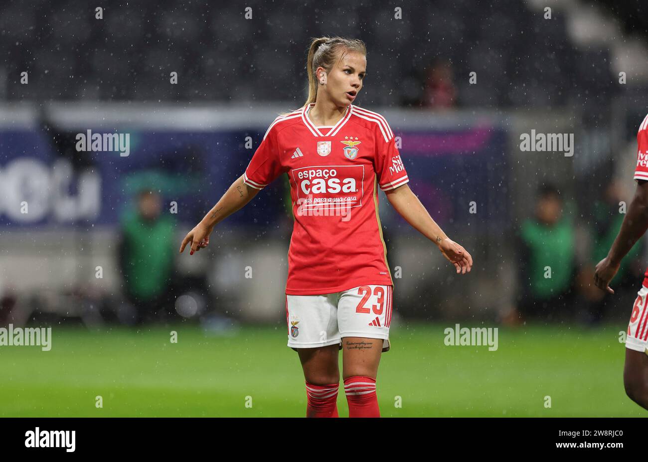 Frankfurt Am Main, Deutschland. Dezember 2023. 21.12.2023, Fussball ...