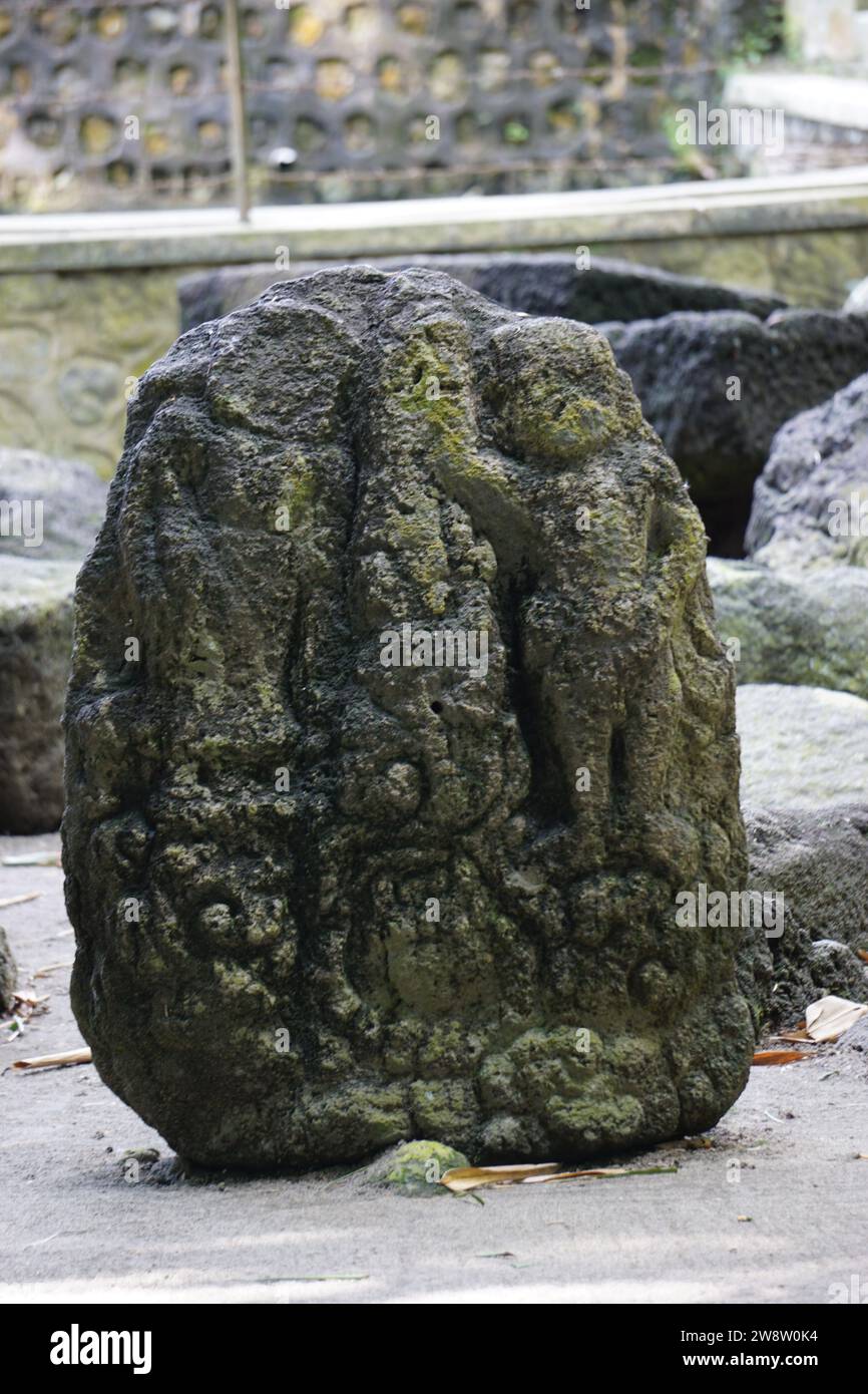 Arca warak -Fotos und -Bildmaterial in hoher Auflösung – Alamy