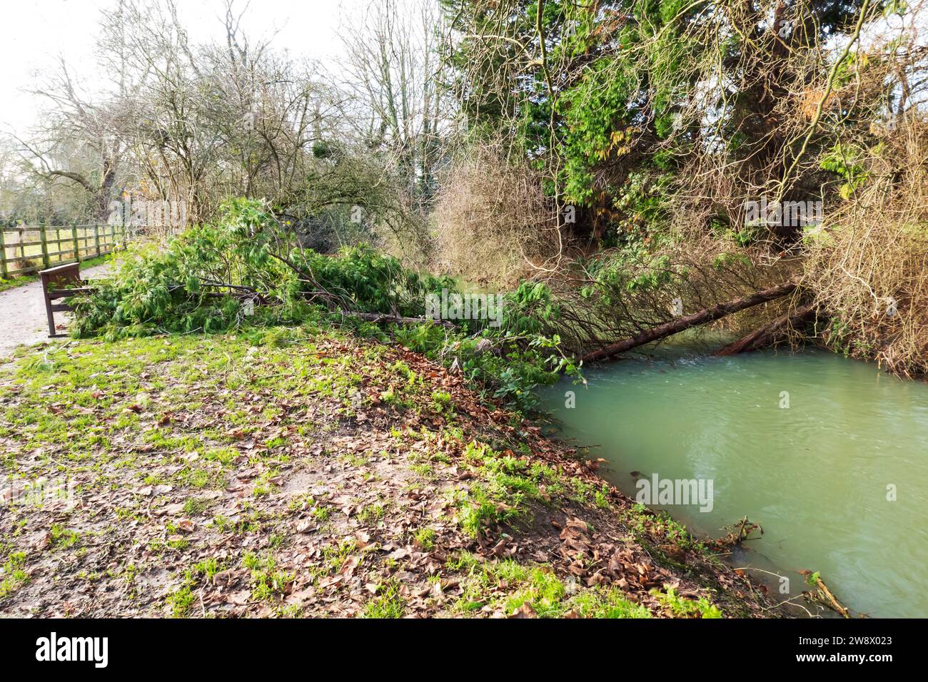 Ein Baum wurde über den überfluteten Fluss Witham, der durch den ...
