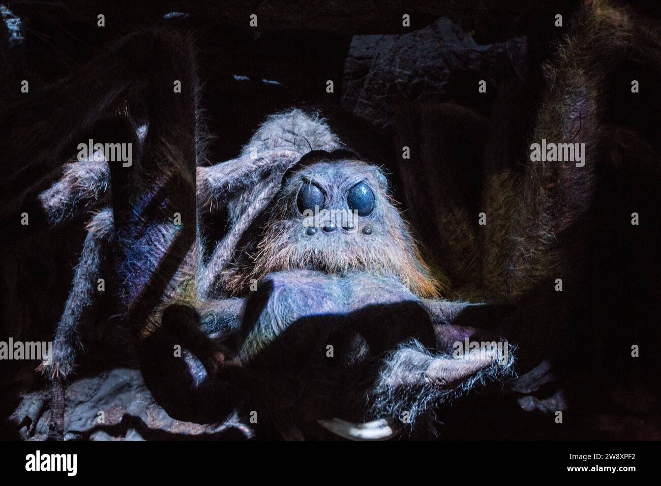 Der hogwarts hofbrunnen -Fotos und -Bildmaterial in hoher Auflösung – Alamy