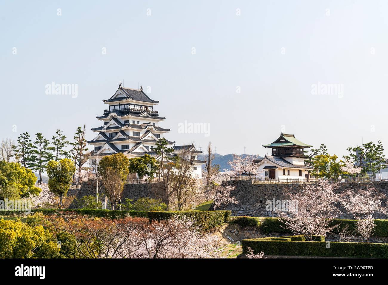 Schloss Fukuyama, Japan. Ishigaki-Steinmauern, Kirschblüten, Shorou ...