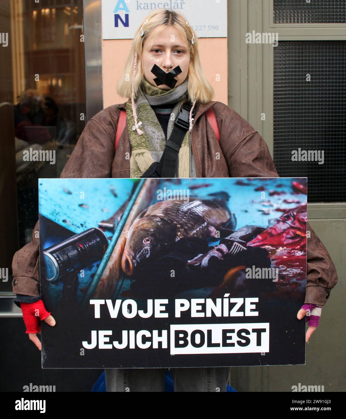 Der Protest der Schweigen Gasse für Karpfen, organisiert vom Verein ...