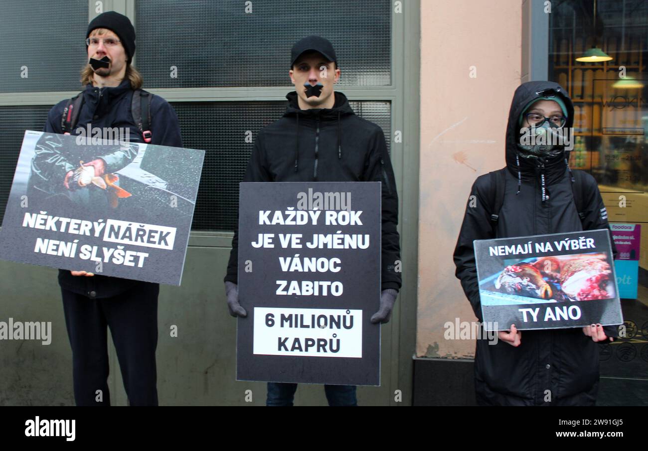Der Protest der Schweigen Gasse für Karpfen, organisiert vom Verein ...