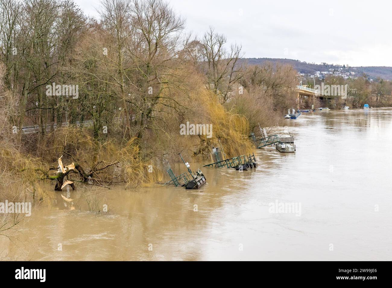 Rhein Hochwasser am 1. WEihnachtsfeiertag an der Insel Grafenwerth bei ...