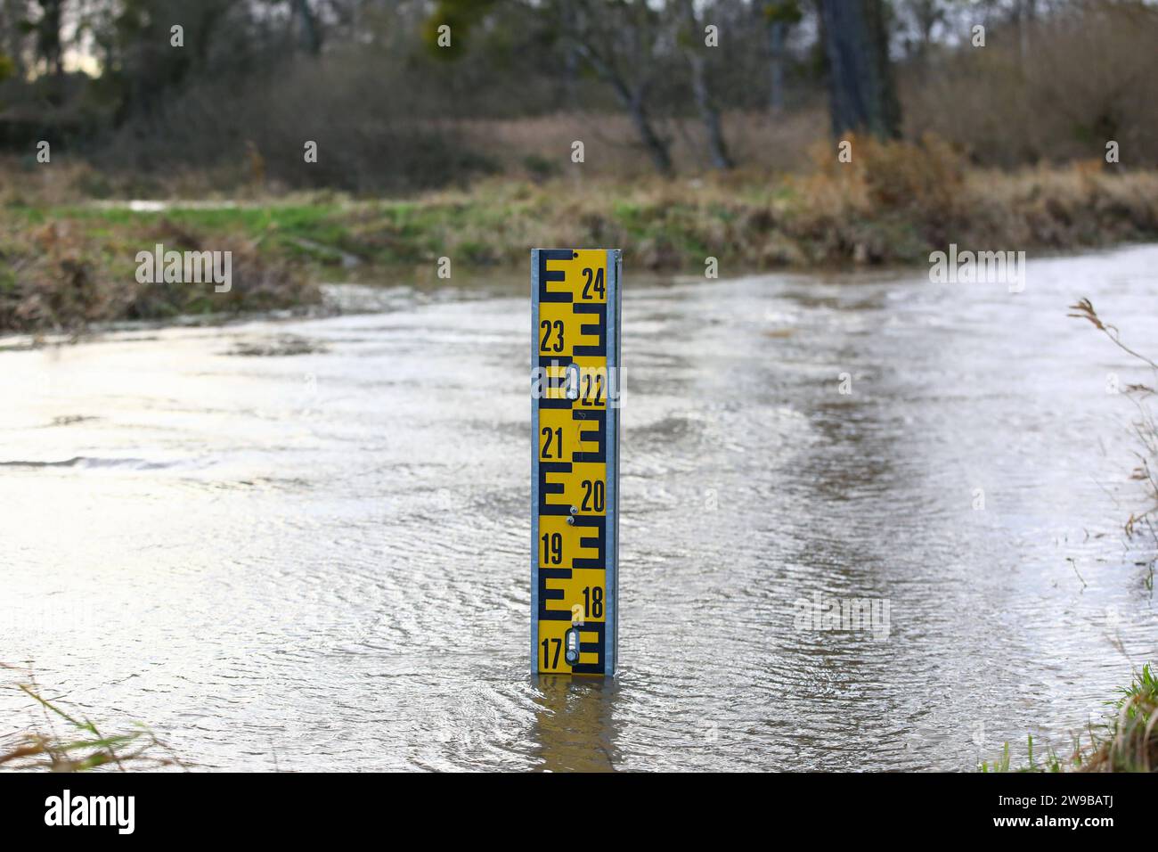 Wasserpegel Winsen Aller