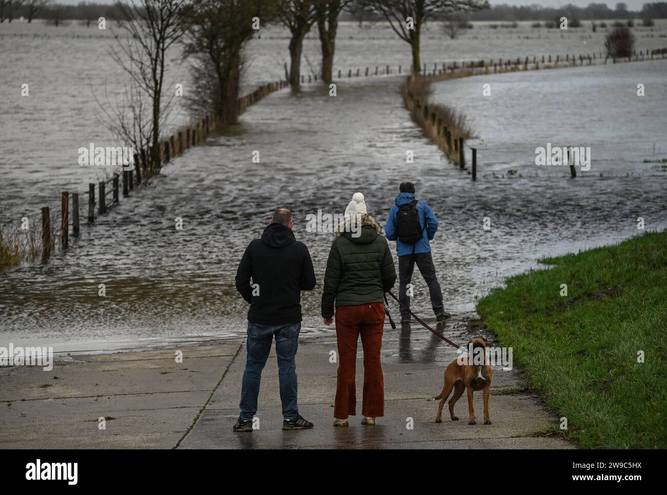 Hochwasser am Niederrhein Hochwasser in Deutschland - Foto in Emmerich am Rhein nach langem ...