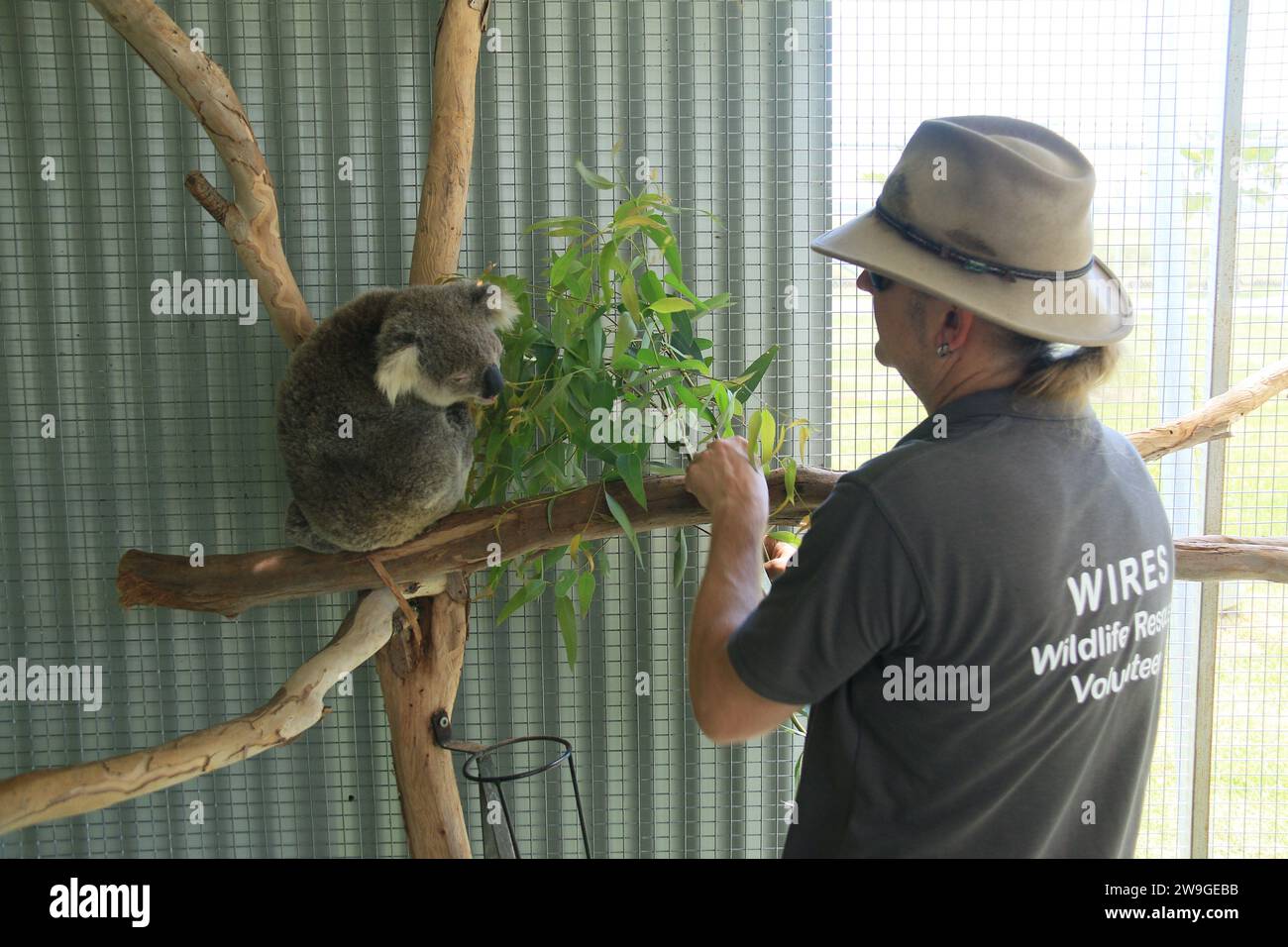 Sydney, Australien. Dezember 2023. Morgan Philpott von der gemeinnützigen Organisation WIRE ...