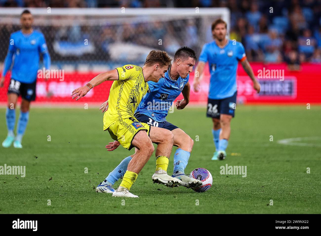 Dezember 2023; Allianz Stadium, Sydney, NSW, Australien: A-League ...