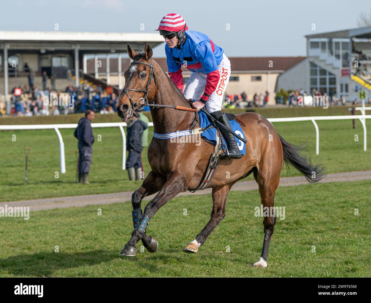 Der Russe Doyen, geritten von Nick Scholfield und trainiert von Jeremy ...