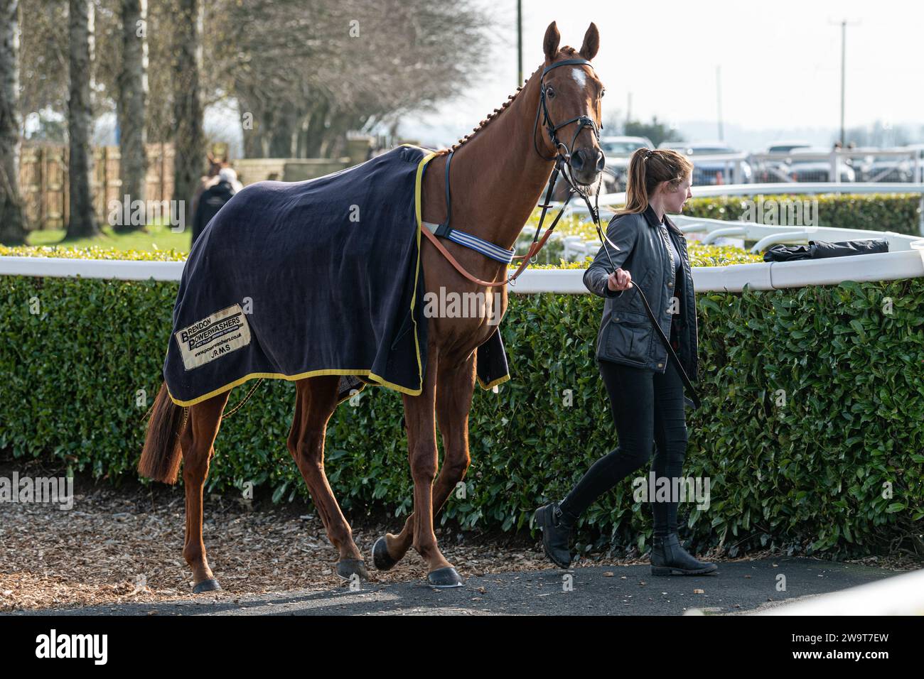 Rex dingle und phoenix risen -Fotos und -Bildmaterial in hoher ...
