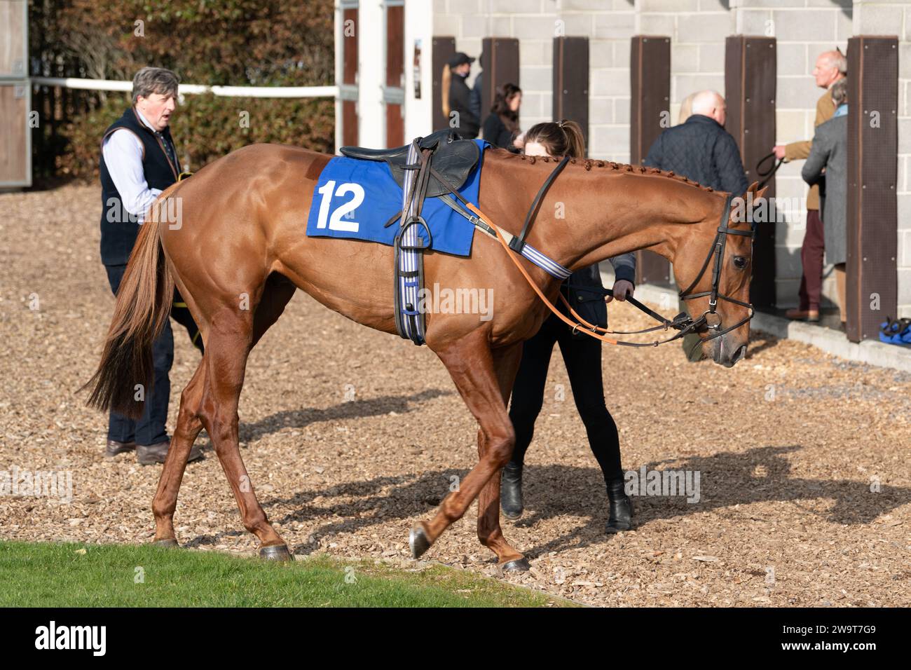 Rex dingle reitet phoenix risen -Fotos und -Bildmaterial in hoher ...