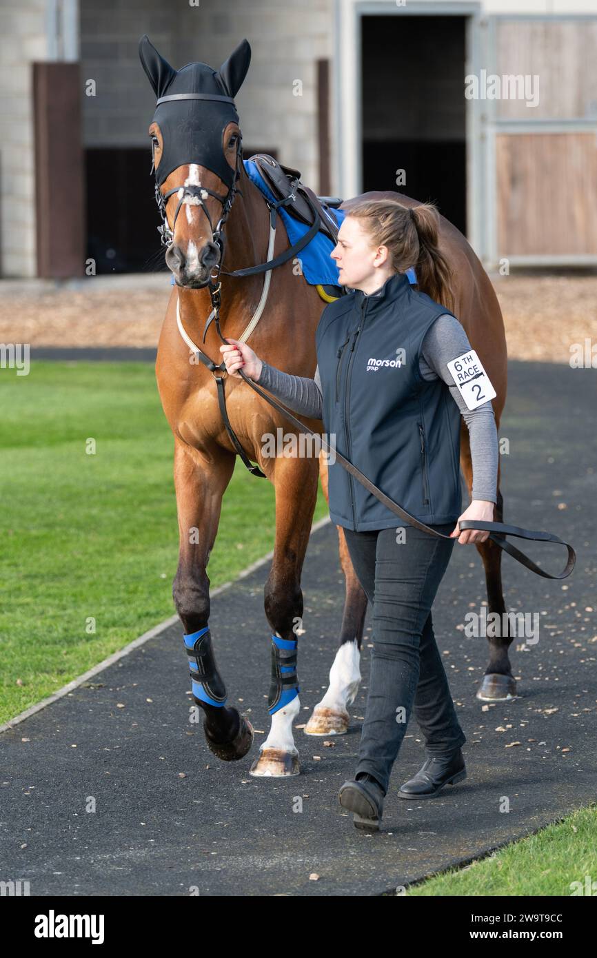 Galoppieren zum start in wincanton -Fotos und -Bildmaterial in hoher ...