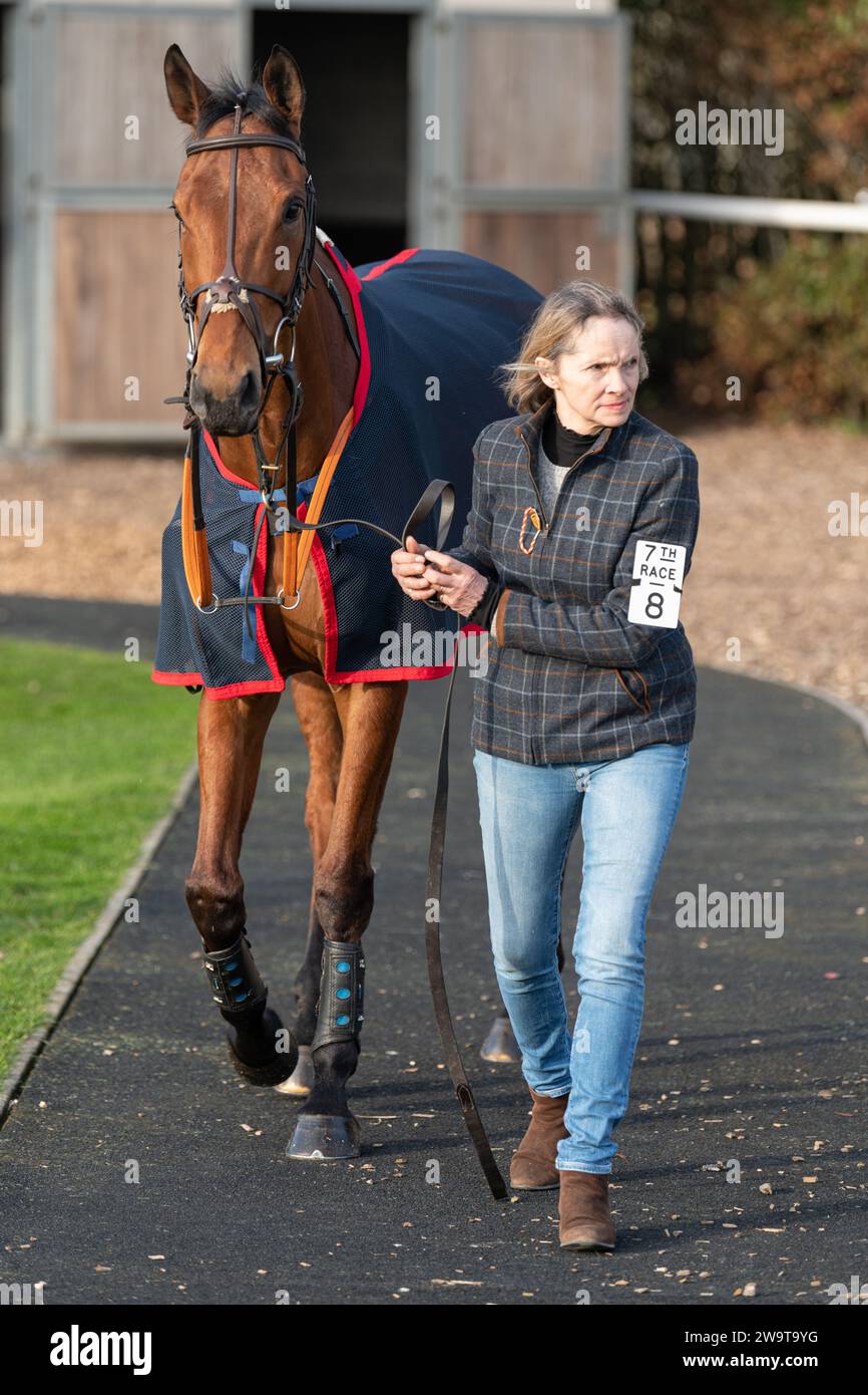 Farceur de Maulne, geritten von Brendan Powell und trainiert von ...