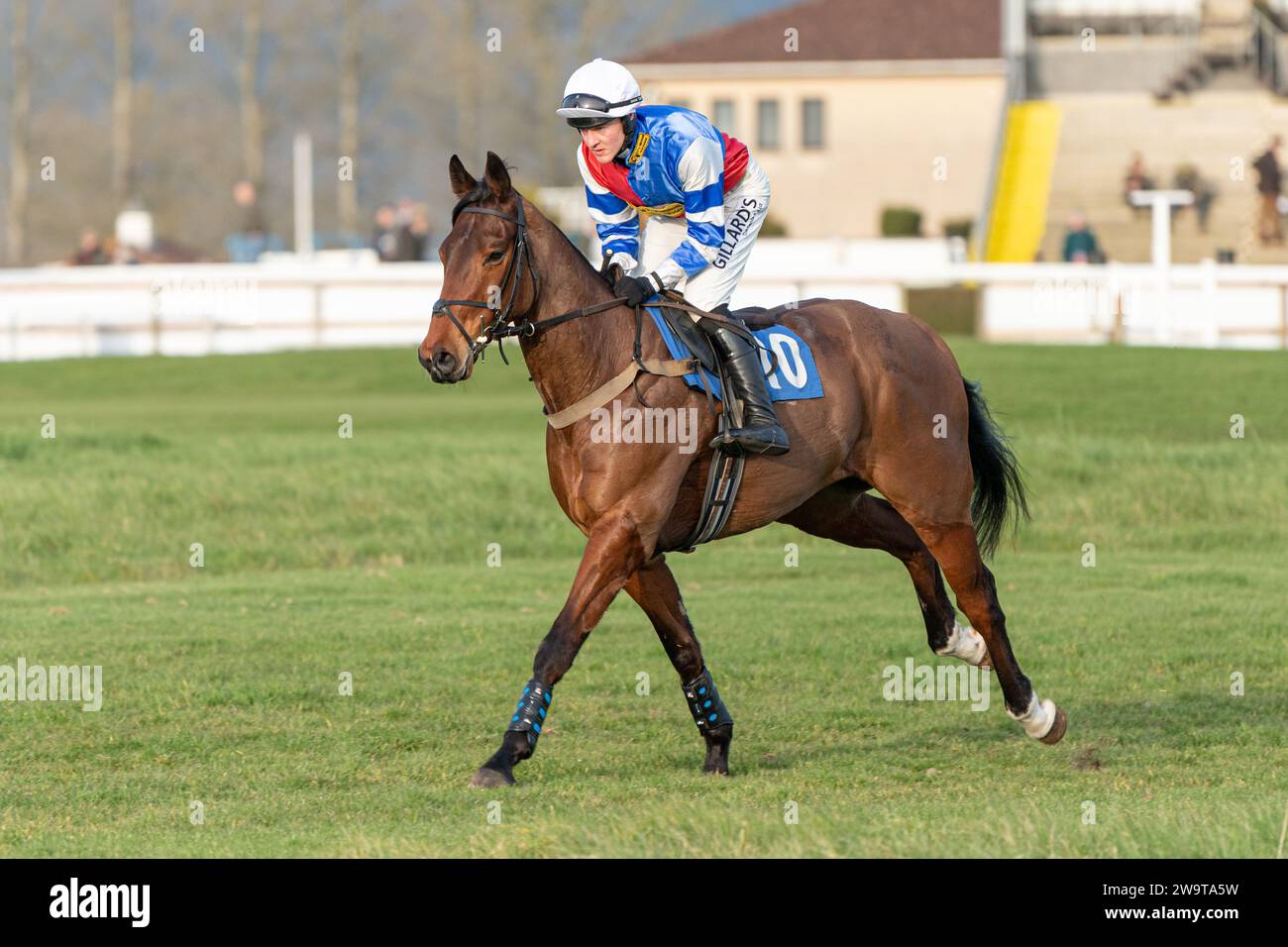 My Rockstar, geritten von David Noonan und trainiert von Helen Rees ...