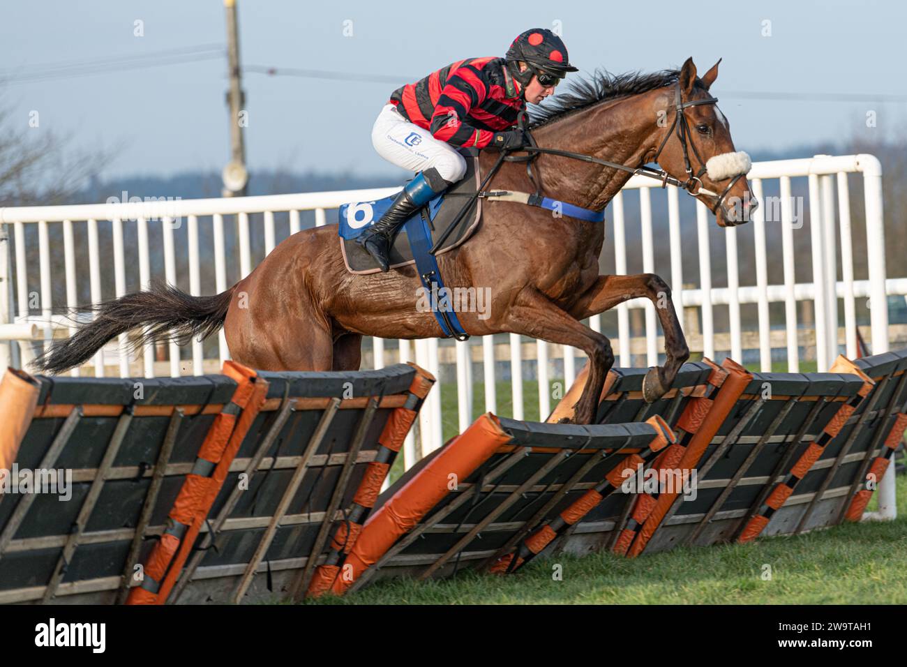 Roger Rarebit, geritten von Stan Sheppard und trainiert von Tom Lacey ...