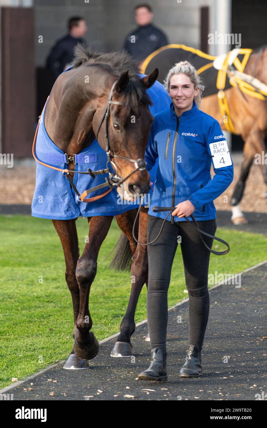 Team tizz -Fotos und -Bildmaterial in hoher Auflösung – Alamy