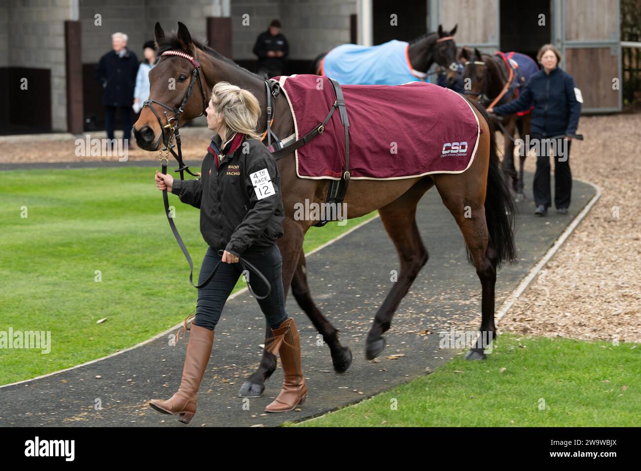 Ball mit falscher form -Fotos und -Bildmaterial in hoher Auflösung – Alamy