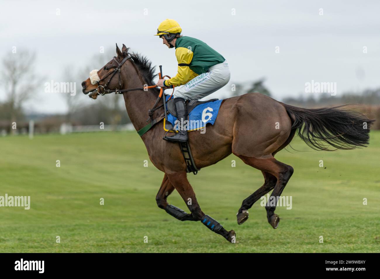 Jeremy naylor -Fotos und -Bildmaterial in hoher Auflösung – Alamy