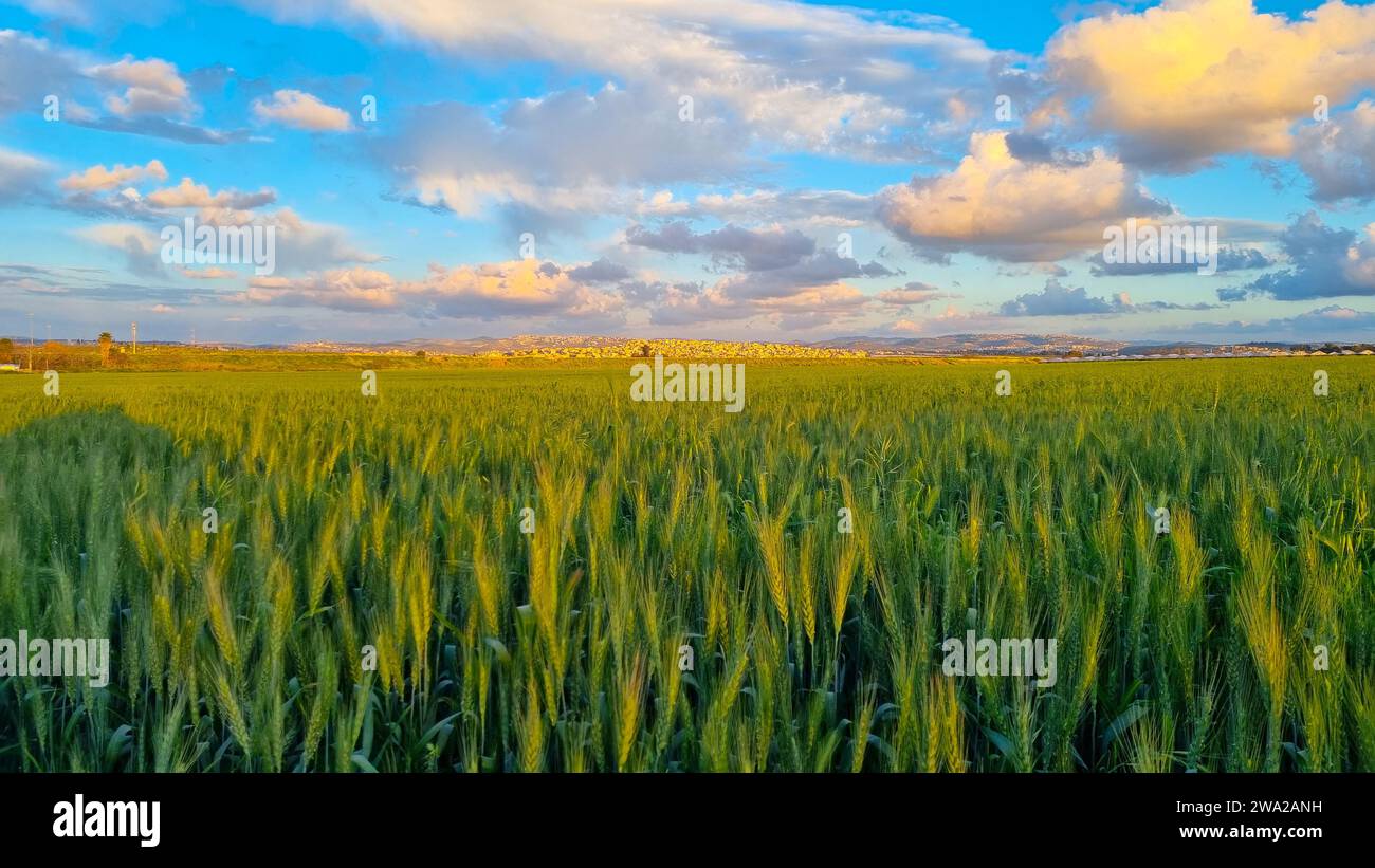 Wolken und weizenfelder -Fotos und -Bildmaterial in hoher Auflösung – Alamy