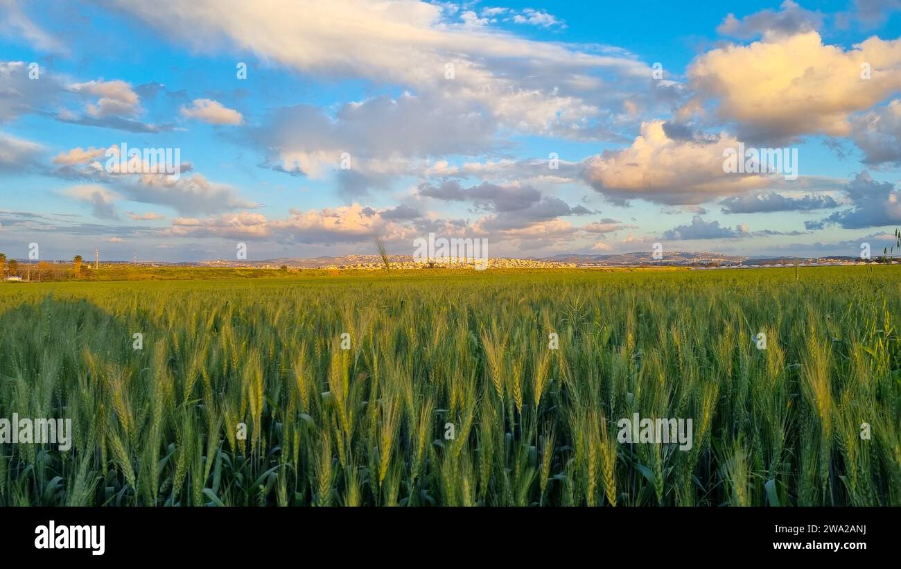 Wolken und weizenfelder -Fotos und -Bildmaterial in hoher Auflösung – Alamy