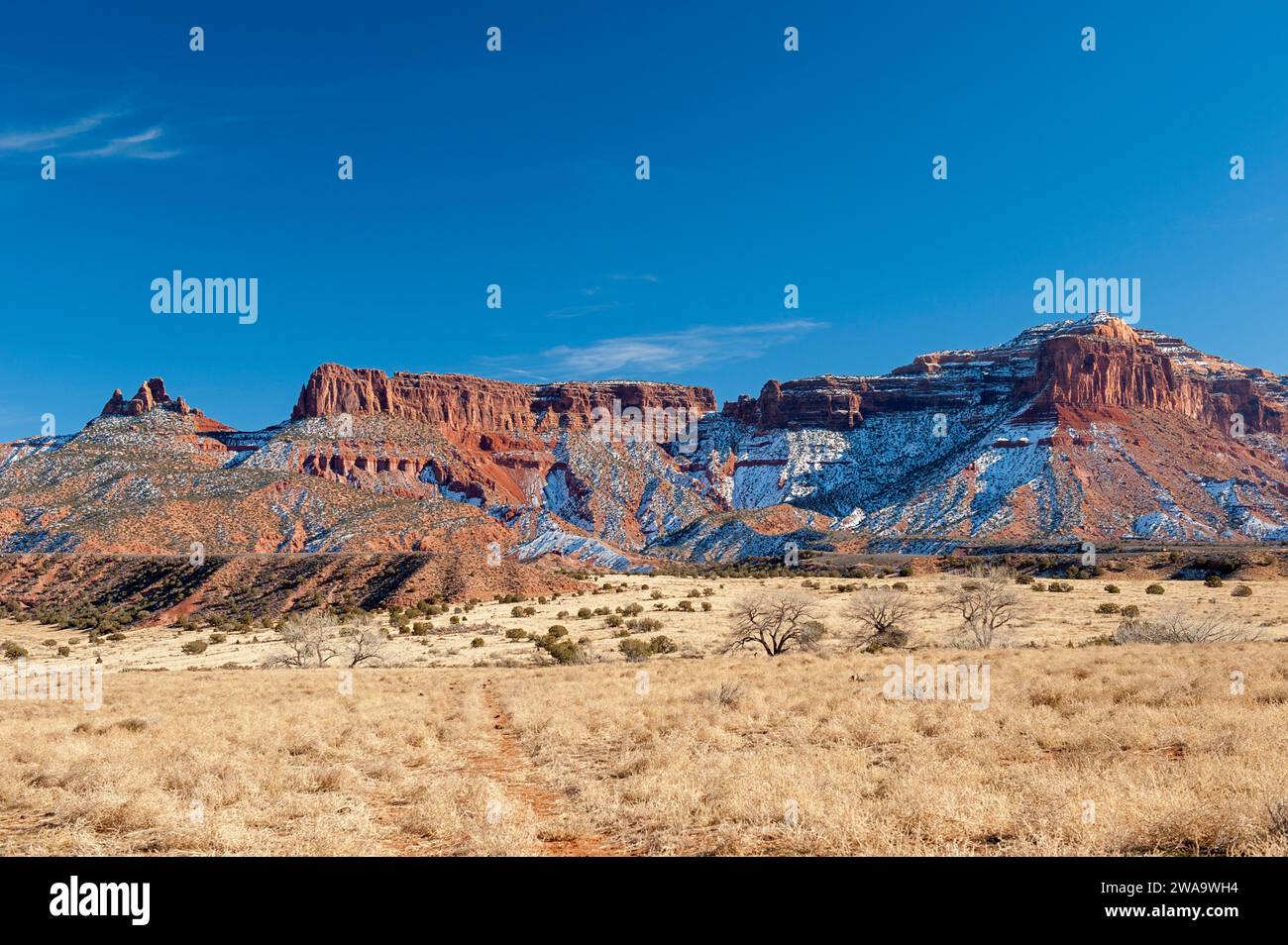 Die Palisade, in Gateway, Colorado. Fünf verschiedene geologische ...