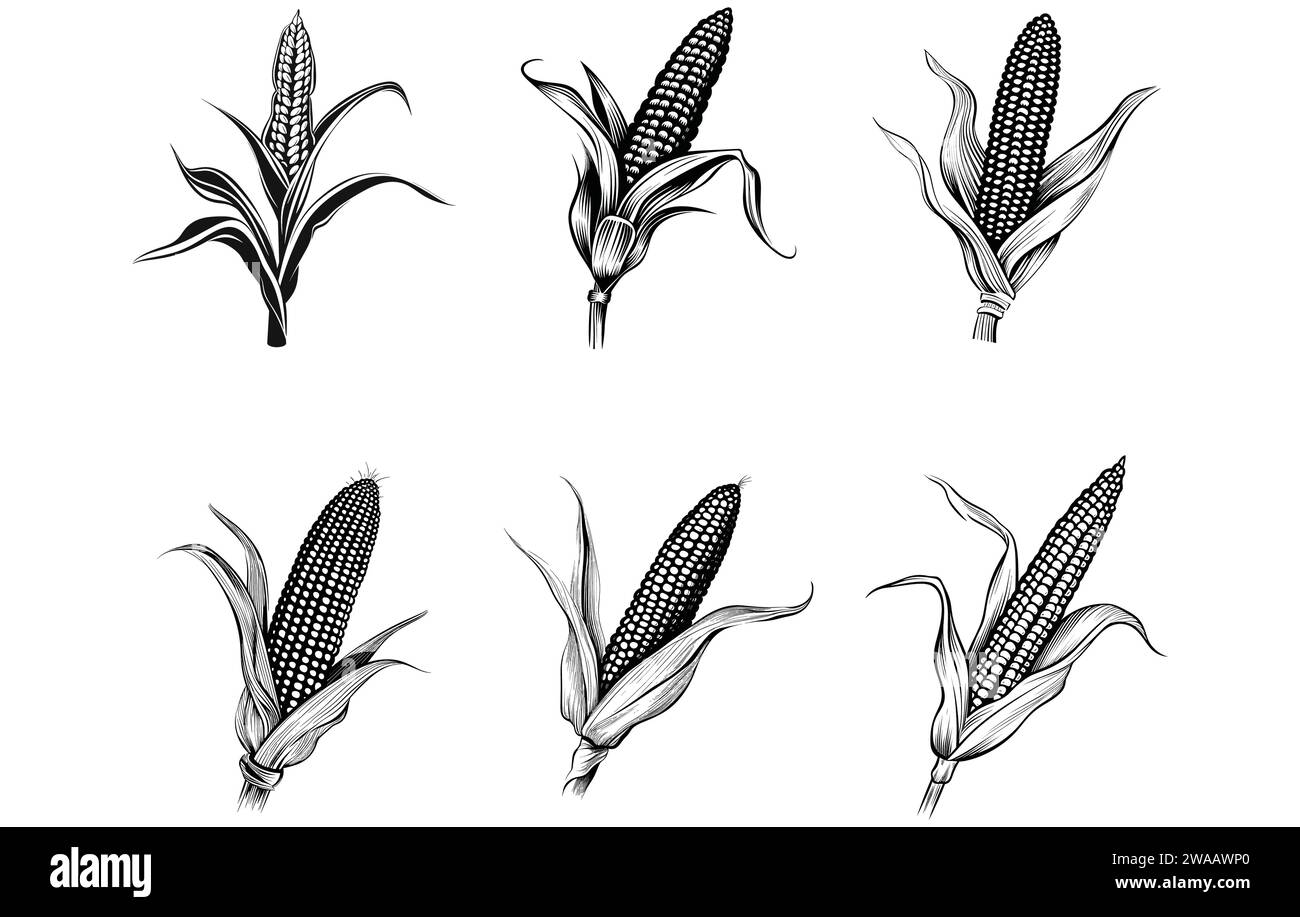 Feld farm Stock-Vektorgrafiken kaufen - Alamy