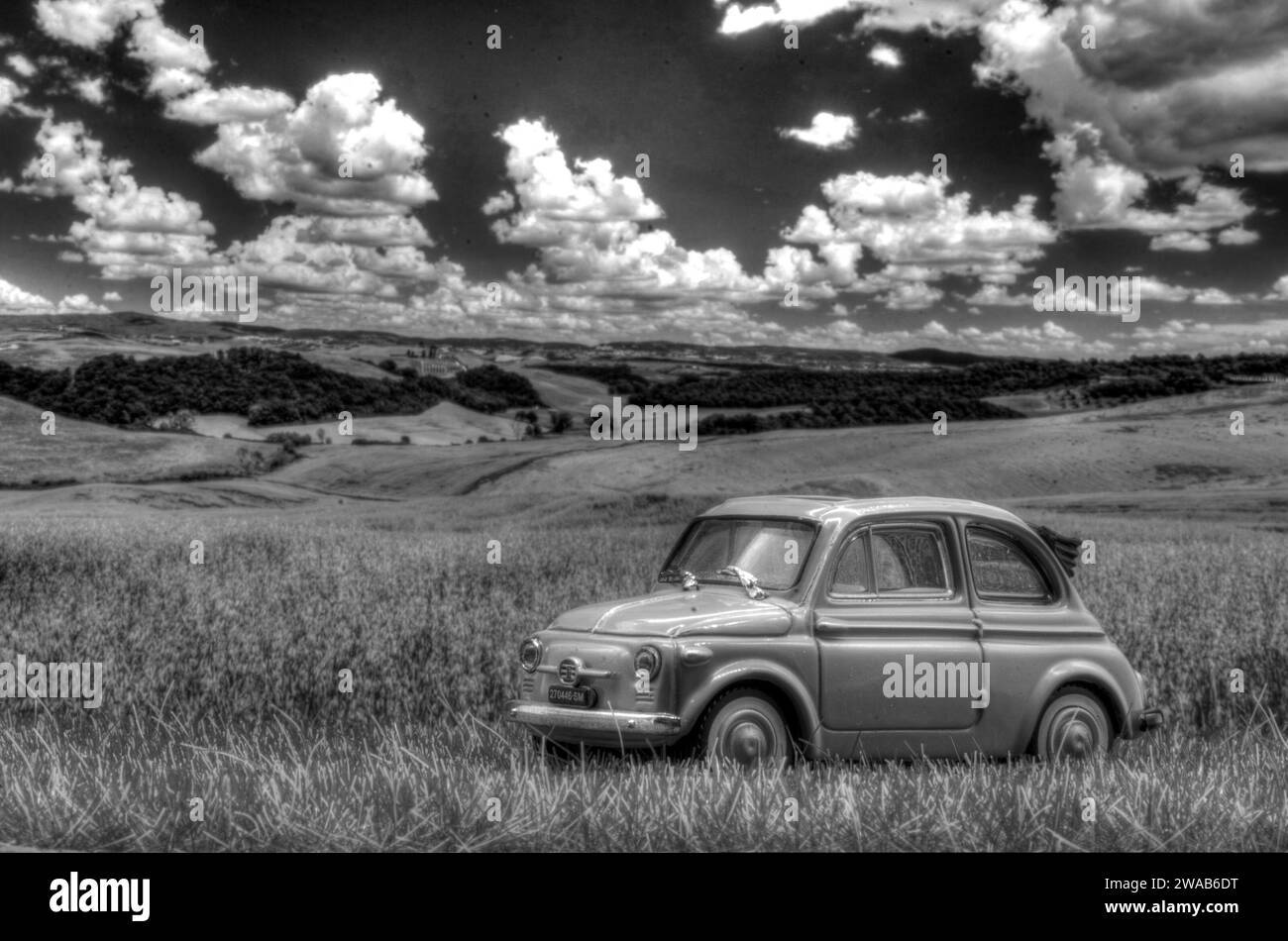 Museum diorama Schwarzweiß-Stockfotos und -bilder - Alamy