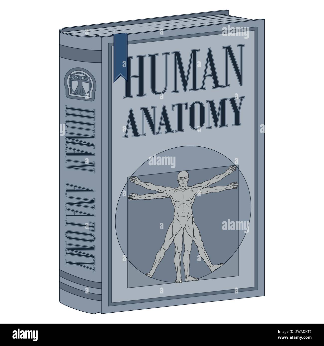 Disegni di anatomia -Fotos und -Bildmaterial in hoher Auflösung – Alamy