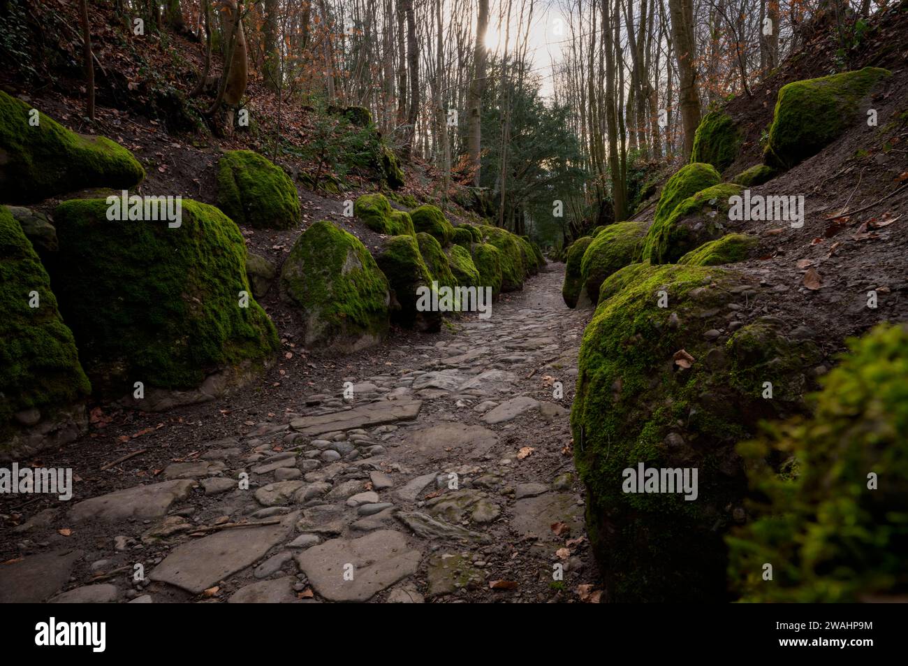 Hohe Gasse, künstliche Schlucht zwischen Immensee und Kuessnacht am ...