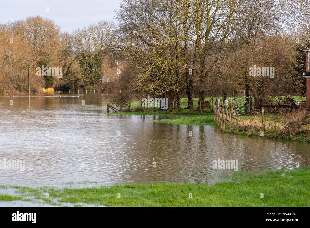 Lower Shiplake, Oxfordshire, Großbritannien. Januar 2024. Flutwasser in ...