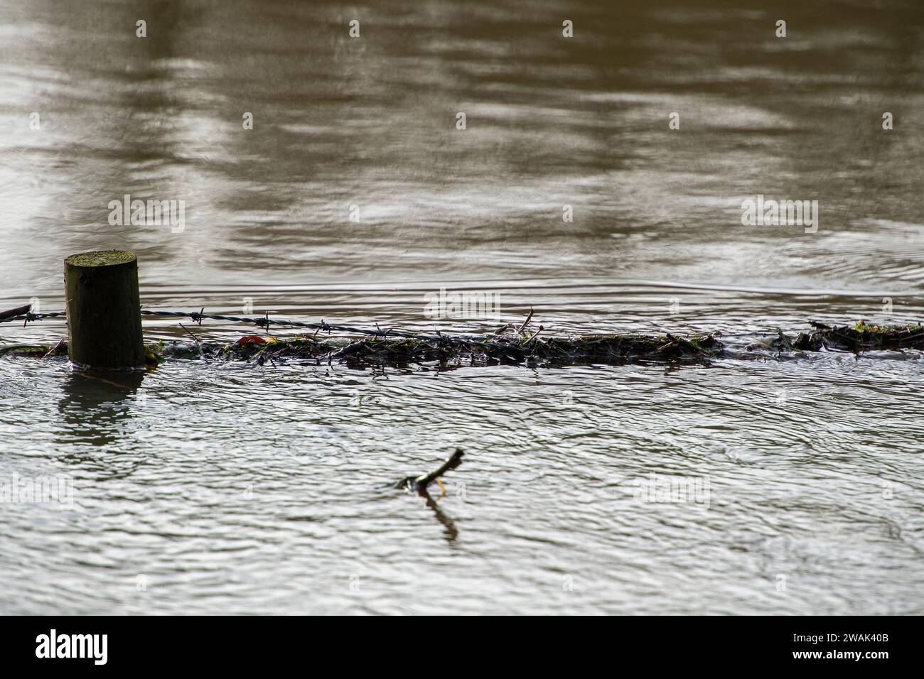 Lower Shiplake, Oxfordshire, Großbritannien. Januar 2024. Flutwasser in ...