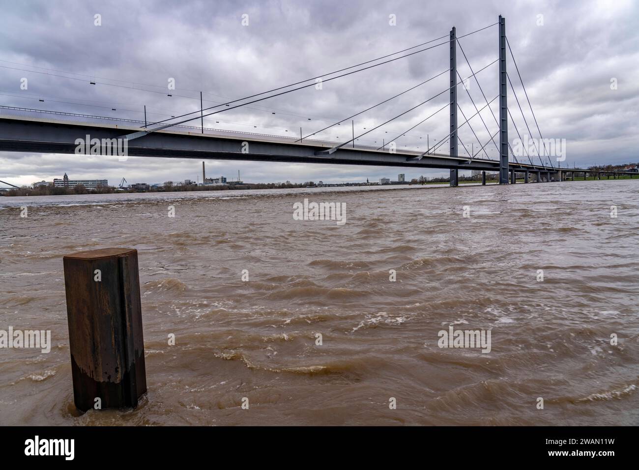 Rheinkniebrücke, Hochwasser des Rhein bei Düsseldorf, NRW, Deutschland ...