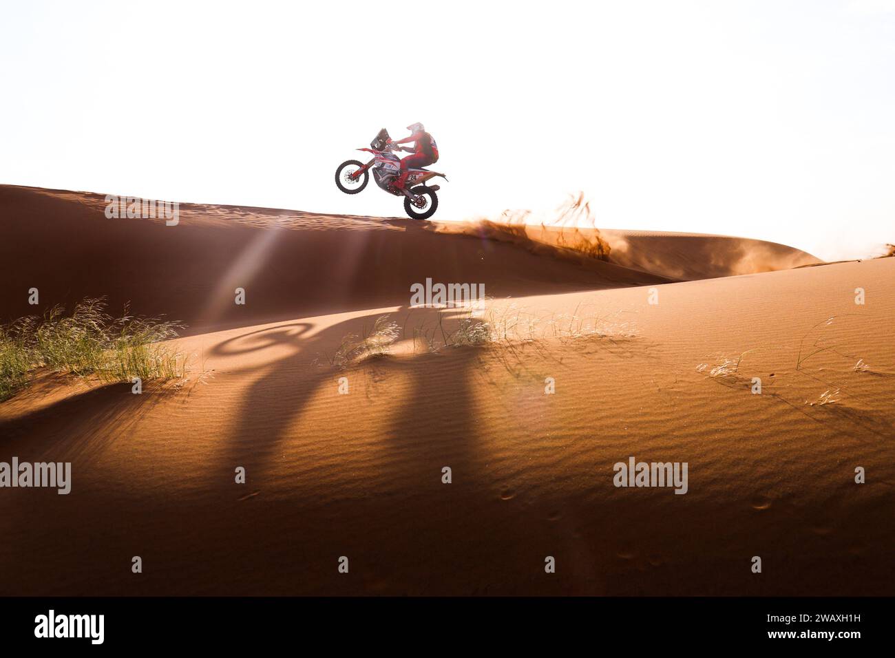 24 MULEC Toni (svk), BAS World KTM Racing Team, KTM, Moto, FIM W2RC, Action während der zweiten ...