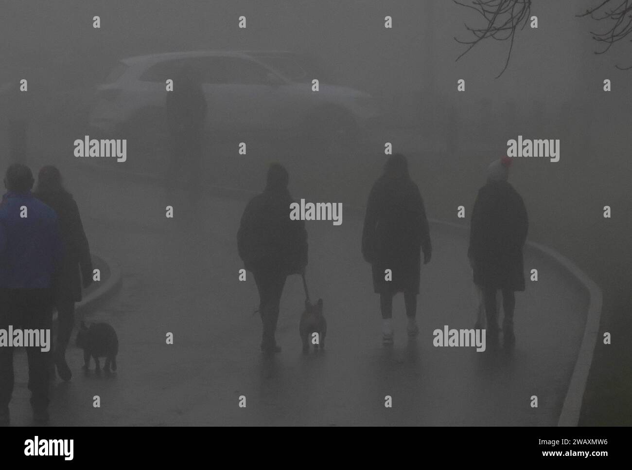 Dorfnebel 2024 -Fotos und -Bildmaterial in hoher Auflösung – Alamy