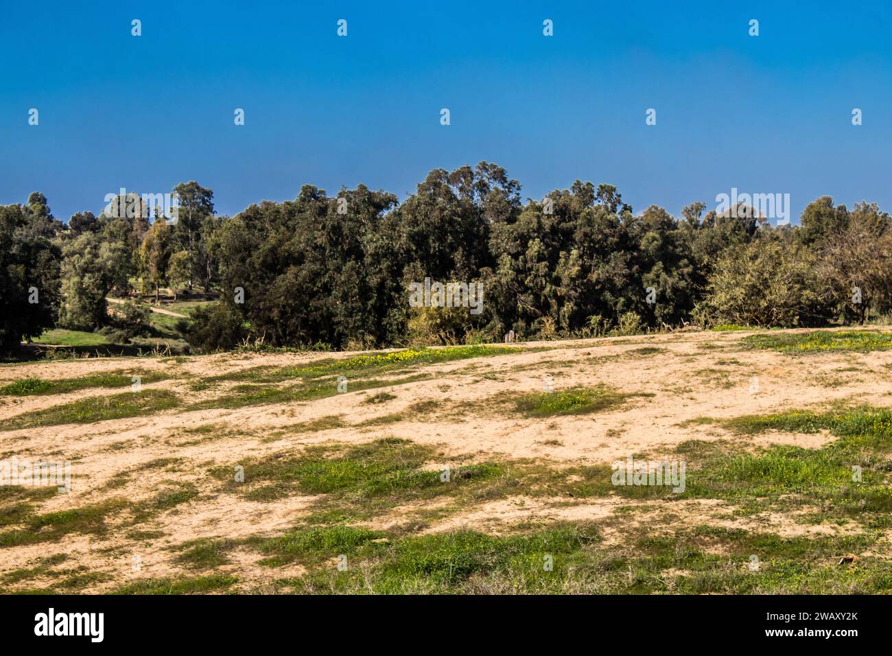 Re'im, Israel – 5. Januar 2024 Landschaft und Ort des Massakers auf dem ...