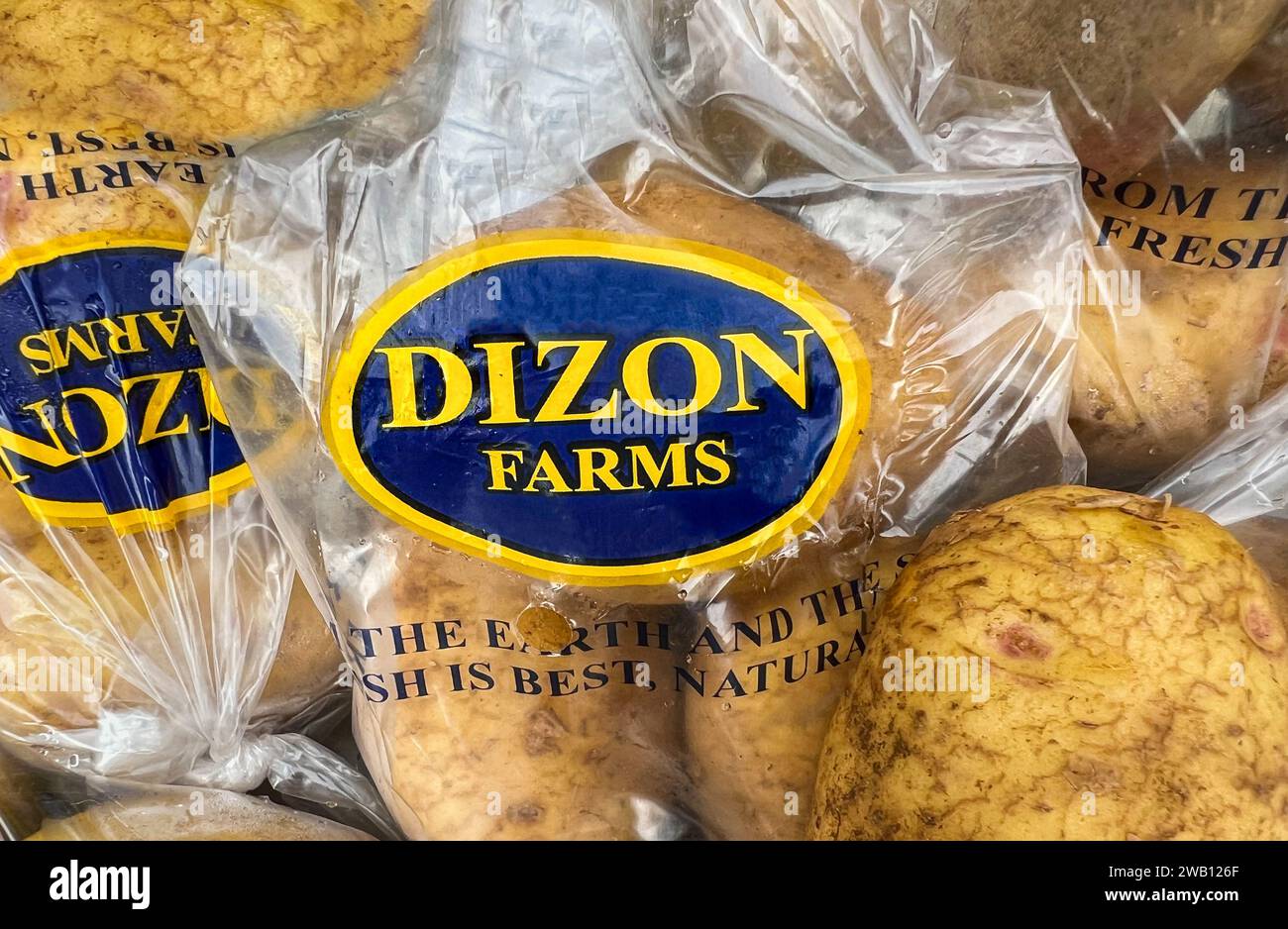 Davao City, Mindanao, Philippinen. 8. Januar 2024: Logo der Dizon Farms ...