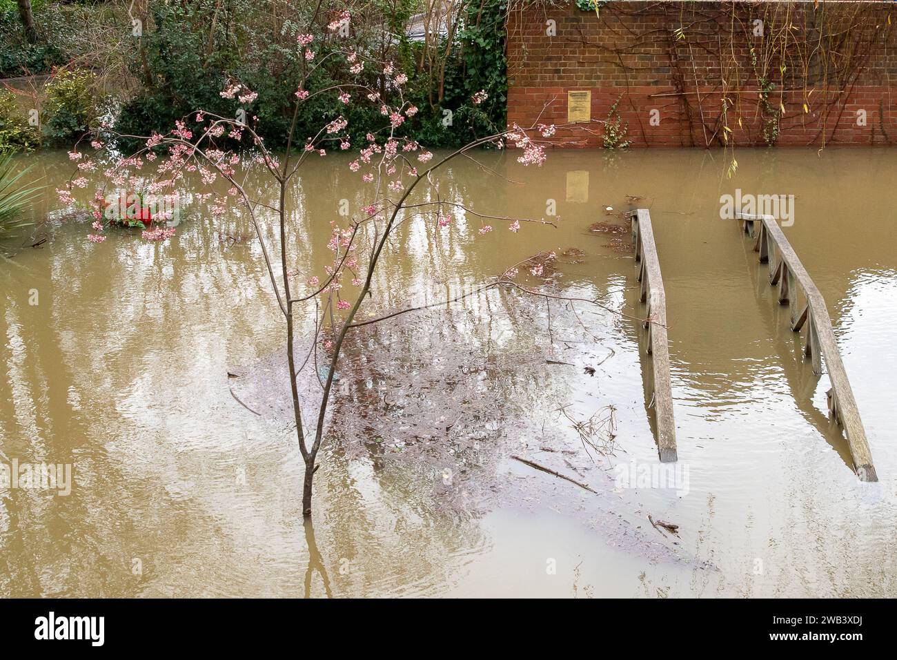 Eton, Windsor, Berkshire. Januar 2024. Die Barnes Pool Gardens an der ...