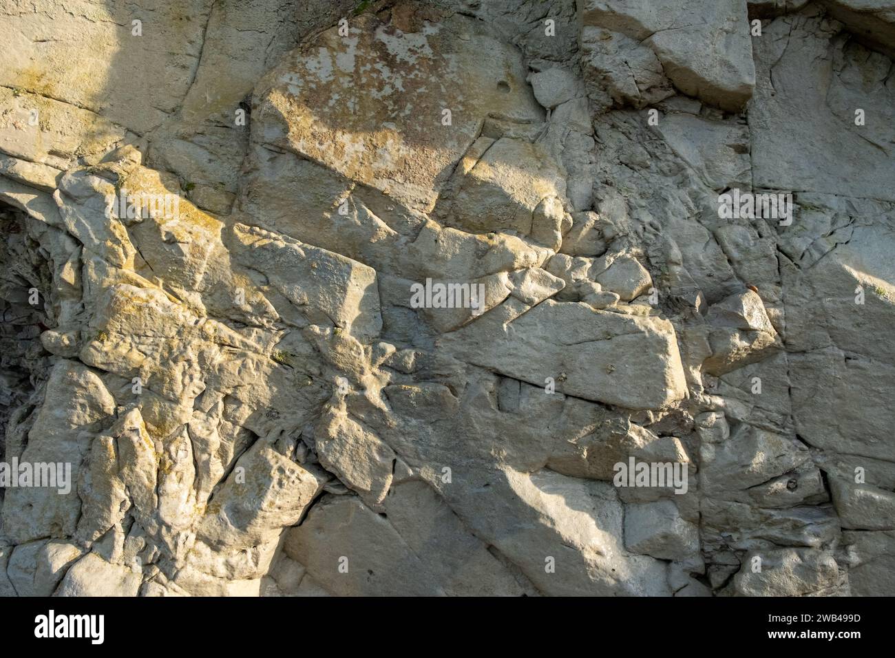 Dieses Bild ist eine Nahaufnahme eines Felsenabschnitts an den Klippen ...